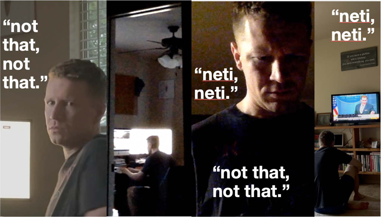 the “neti, neti” project – Deliberating Truth